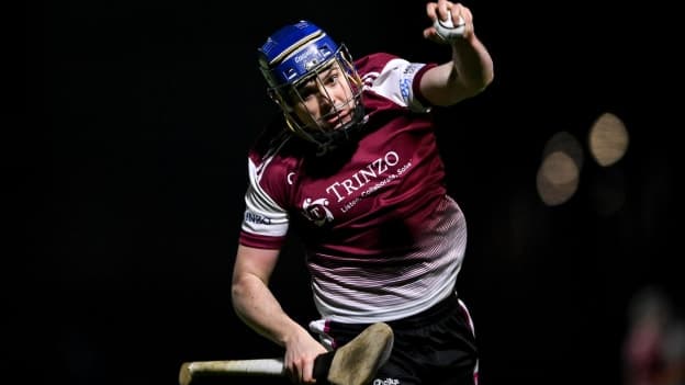 Round-up: Fitzgibbon Cup wins for UG and SETU Waterford