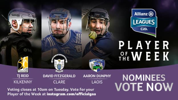 GAA.ie Hurler of the Week nominees