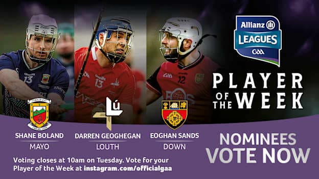 GAA.ie Hurler of the Week nominees