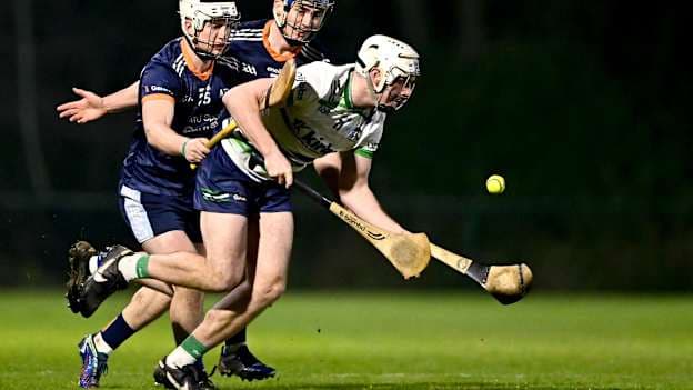 Round-up: Wednesday's Electric Ireland Fitzgibbon Cup action