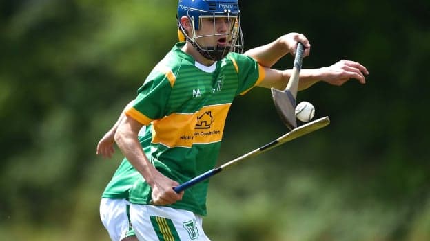 Castleblayney proving all soil is fertile ground for hurling