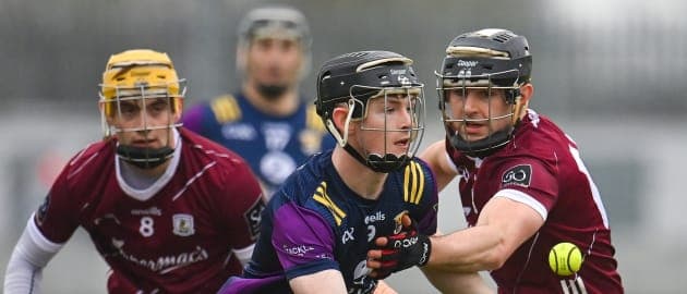 Jacob urges Wexford supporters to show patience with rising stars