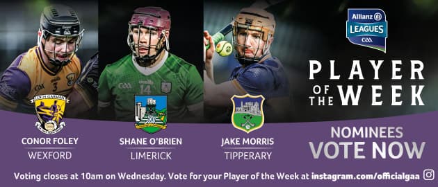 GAA.ie Hurler of the Week nominees