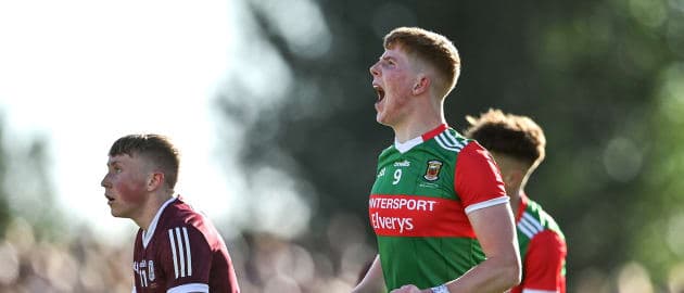 Ballina Stephenites reaping the harvest of seeds sown