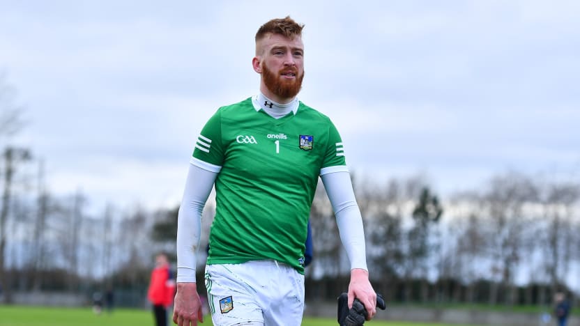 Tailteann Cup: Limerick impress against Carlow