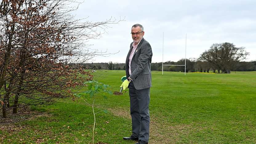 Native tree sapling offer