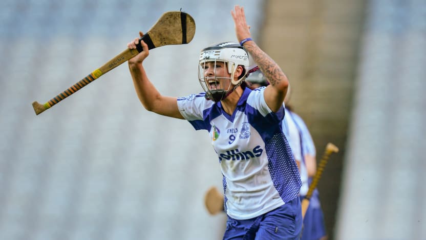 Camogie: Milford and Killimor progress