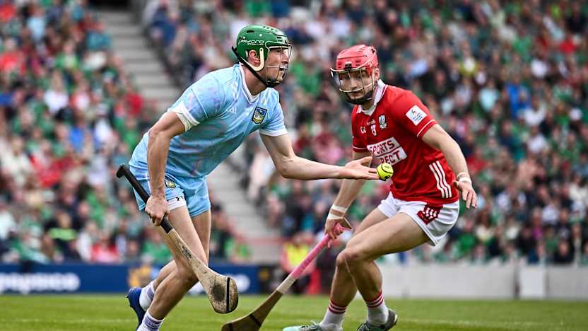 Hurling Review Public Survey