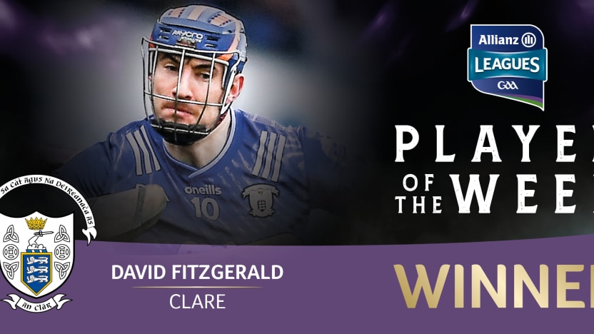 David Fitzgerald voted GAA.ie Hurler of the Week