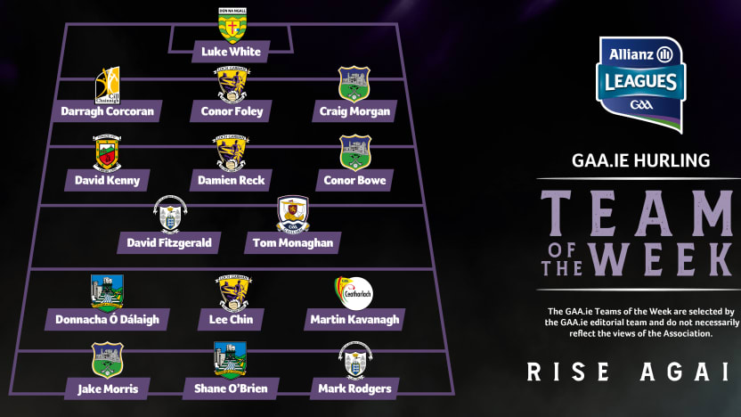 GAA.ie Hurling Team of the Week