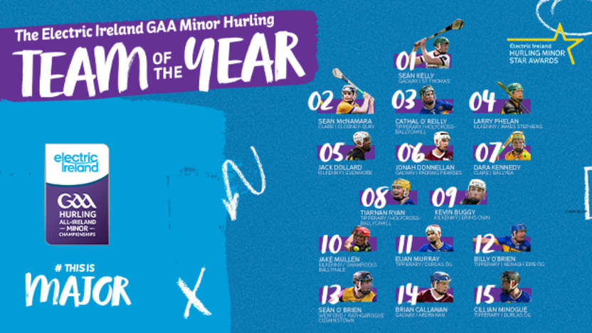 2024 Electric Ireland GAA Minor Star Hurling Team of the Year