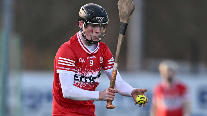 Round-up: Weekend's Ring, Rackard, and Meagher Cup action