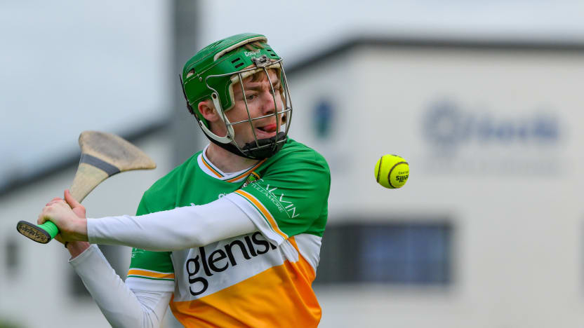 Adam Screeney enjoying Offaly revival