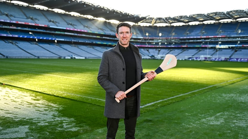 Hickey hails Limerick's mentality monsters