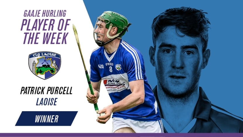 Patrick Purcell voted GAA.ie Hurler of the Week