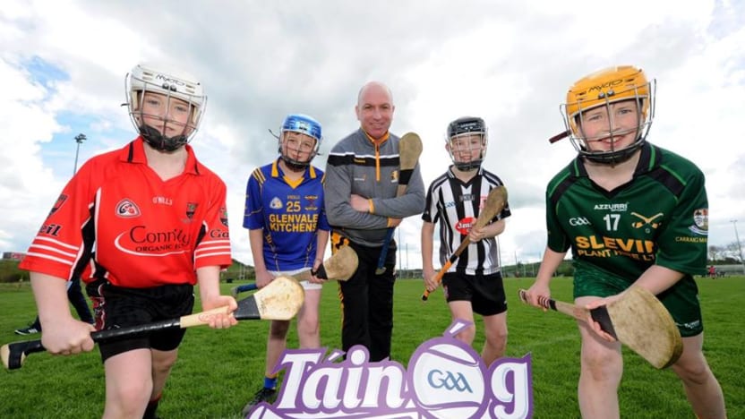 Stage set for a festival of hurling finals in new Táin Óg initiative