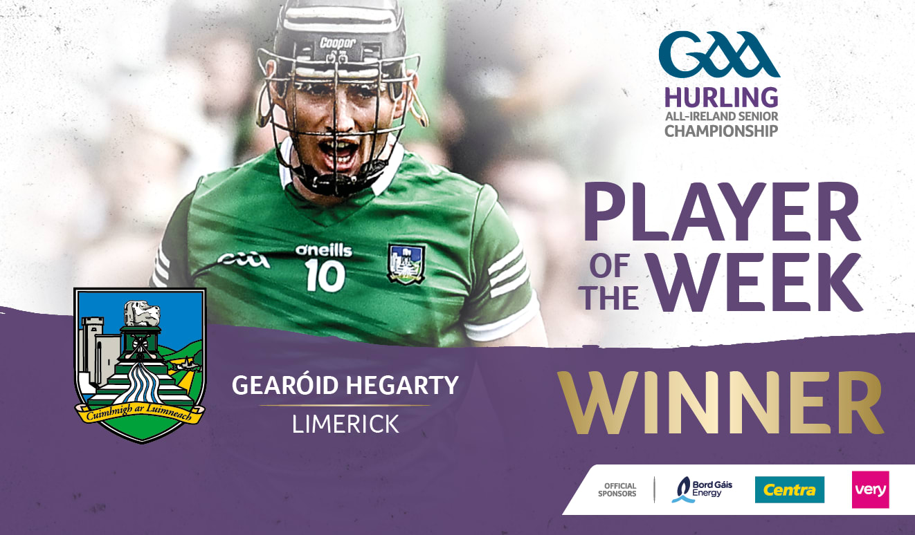 Gearoid Hegarty voted GAA.ie Hurler of the Week