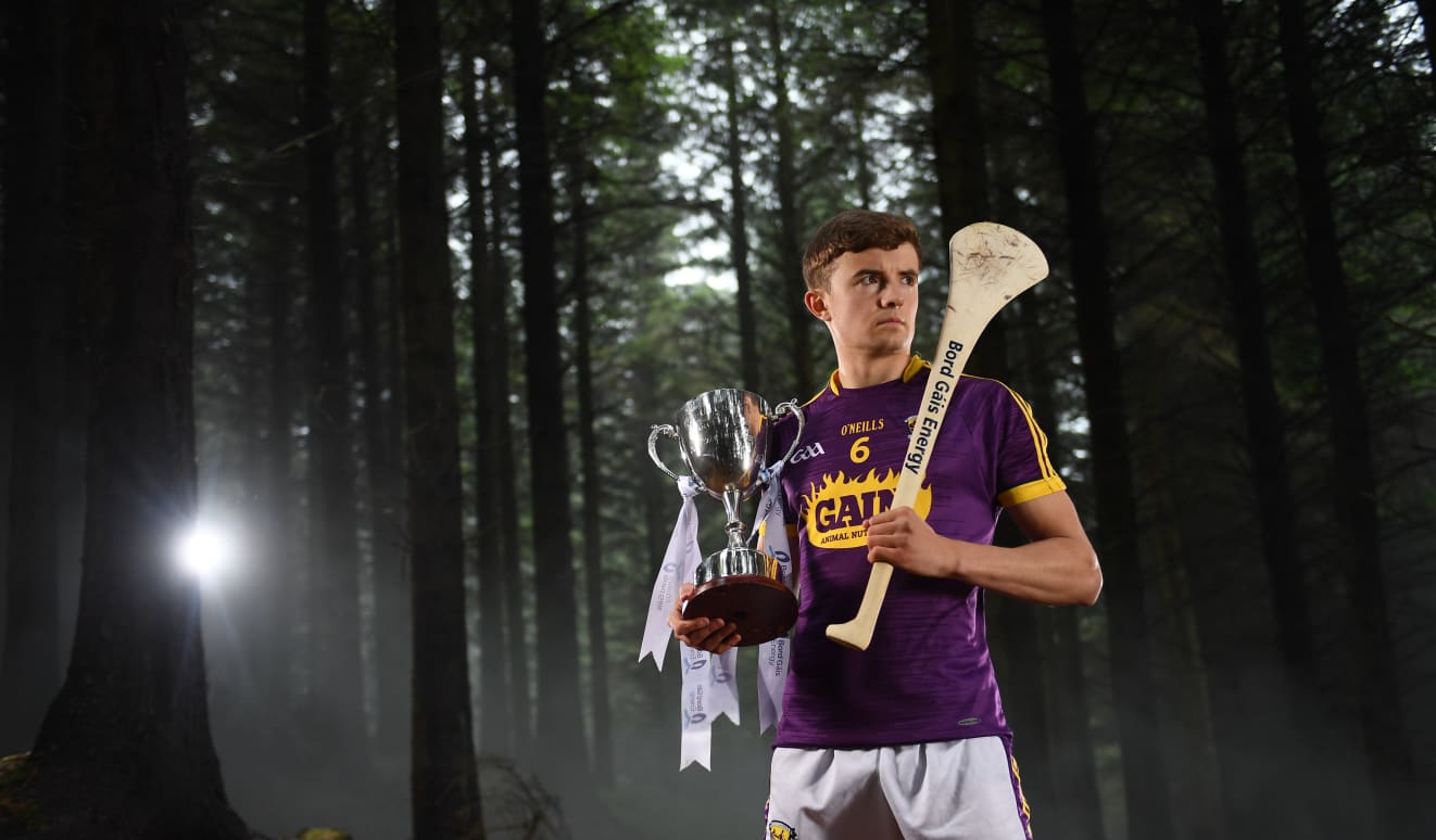 Harry O'Connor hopes Wexford can shine in BGE Leinster U21 Final