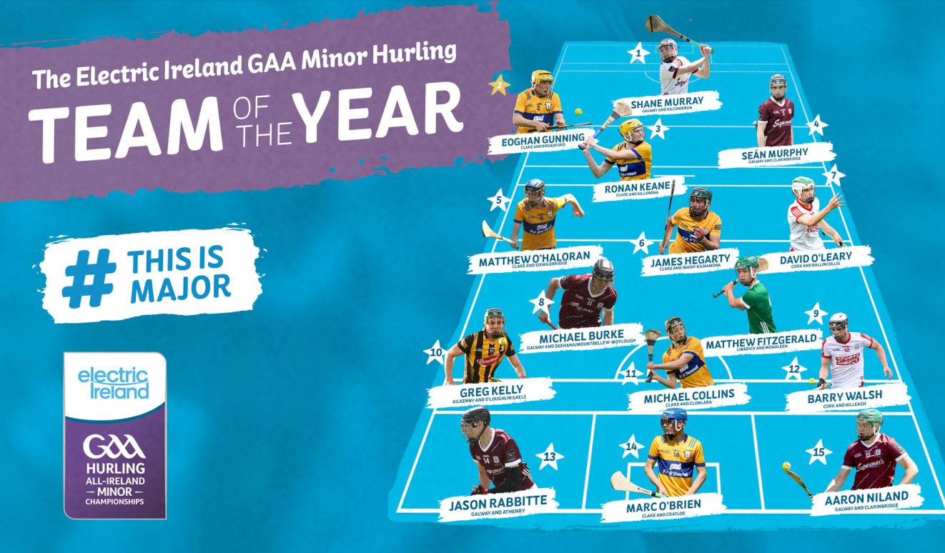 Electric Ireland GAA Minor Star Hurling Team of the Year