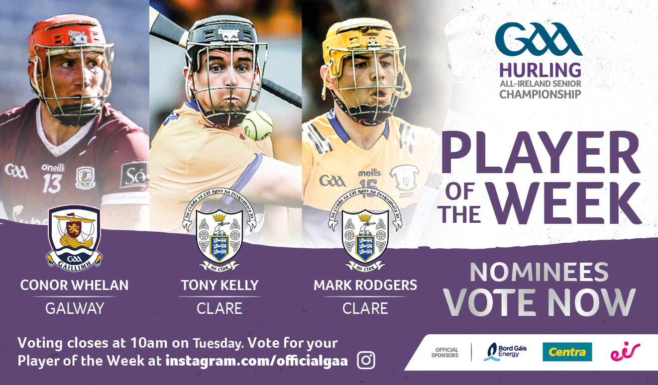 GAA.ie Hurler of the Week nominees