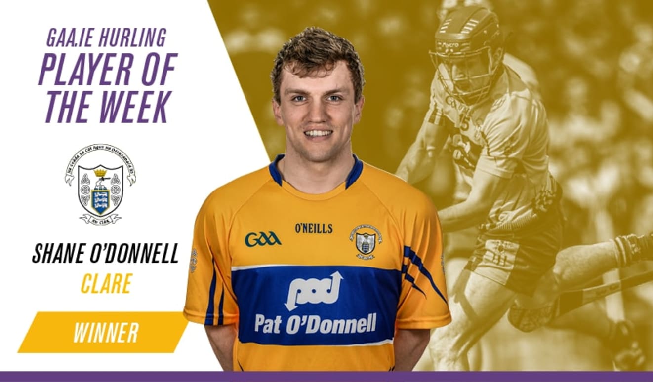 Shane O'Donnell voted GAA.ie Hurler of the Week