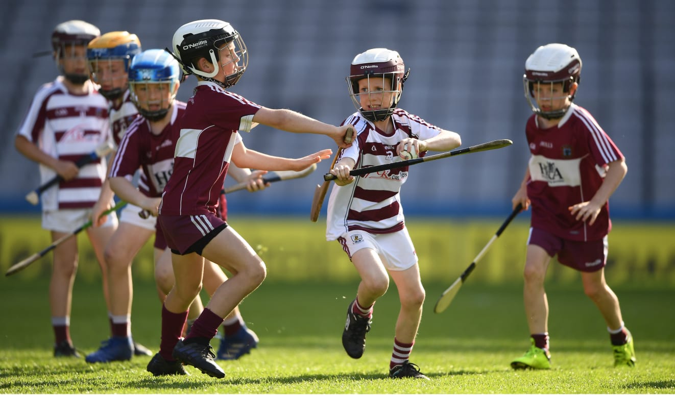 Registration open for webinar on nursery hurling