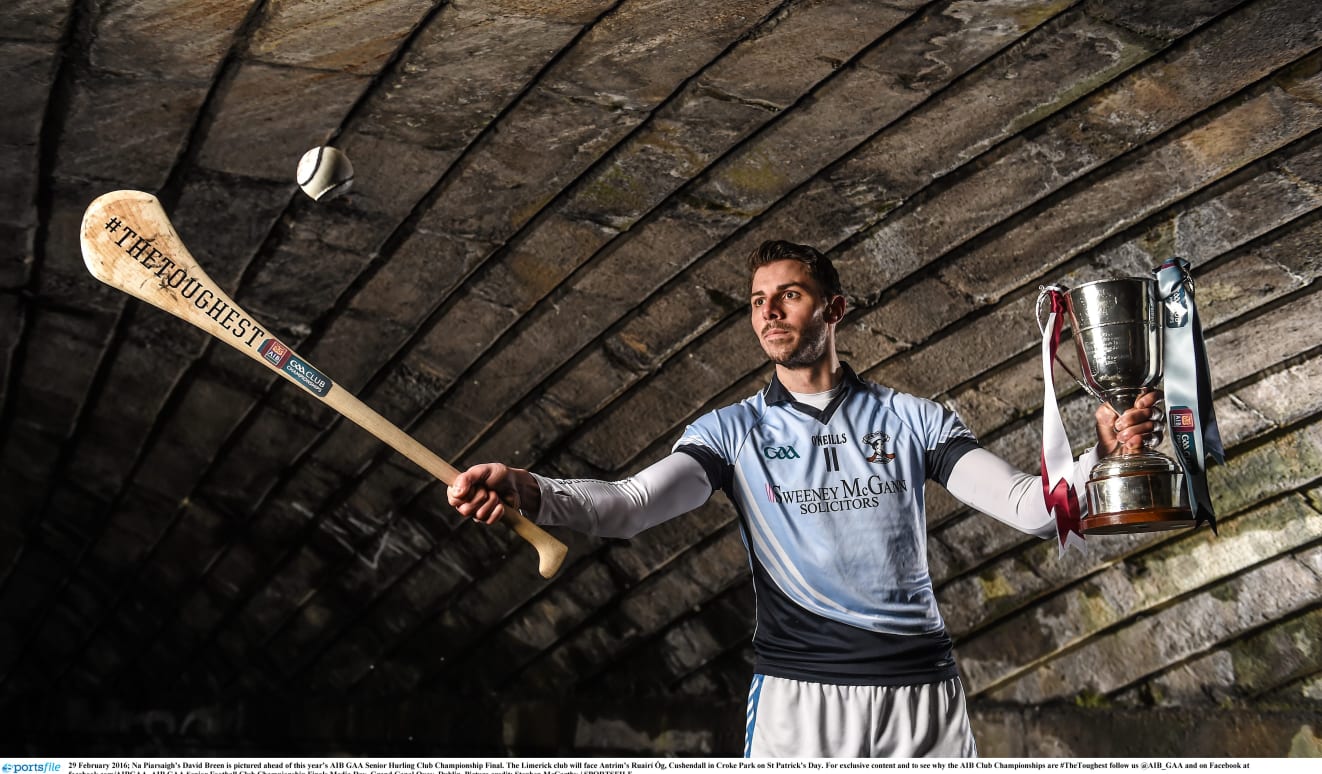 David Breen: Leinster role has helped my hurling